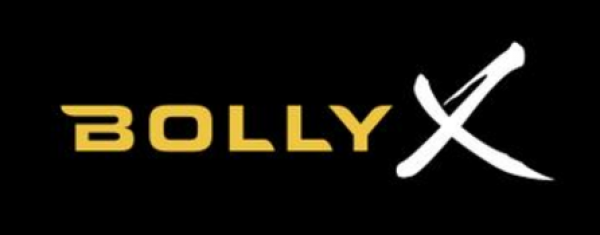 Melissa Moore - Bollywood Dance Fitness Workout BollyX Instructor